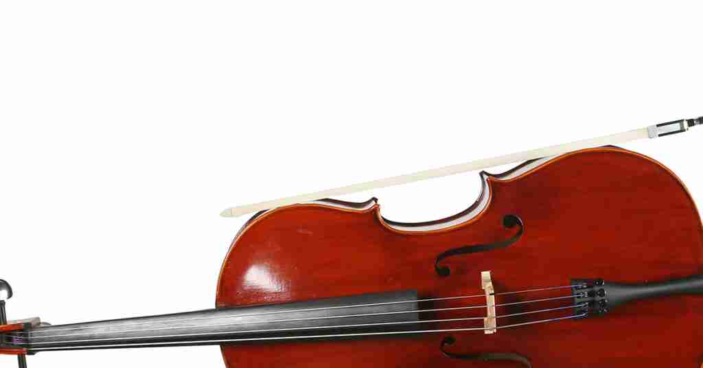 Violin Viola Cello Rentals for Students & Advanced Players