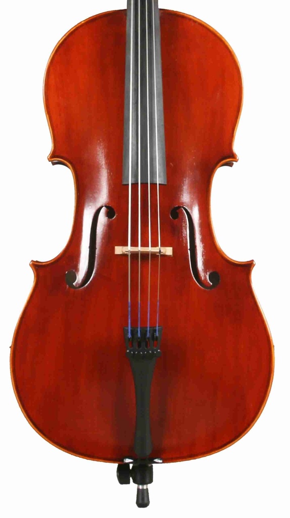 Fully Carved Caprice Cello Outfit | PaytonViolins